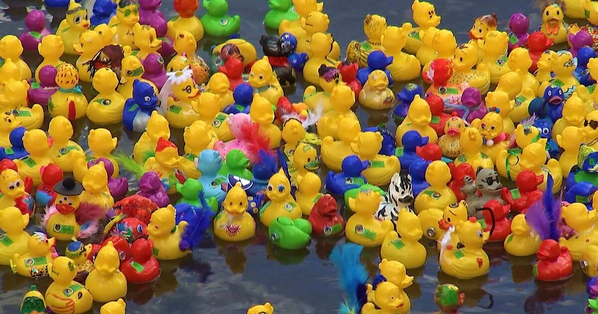 Überragendes Entenrennen | Oberpfalz TV